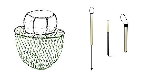 국립수산과학원