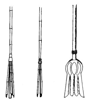 국립수산과학원